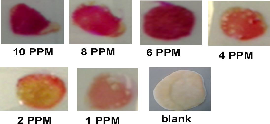 POLYMERIC REAGENTS FOR THE DETECTION OF UREA NITRATE